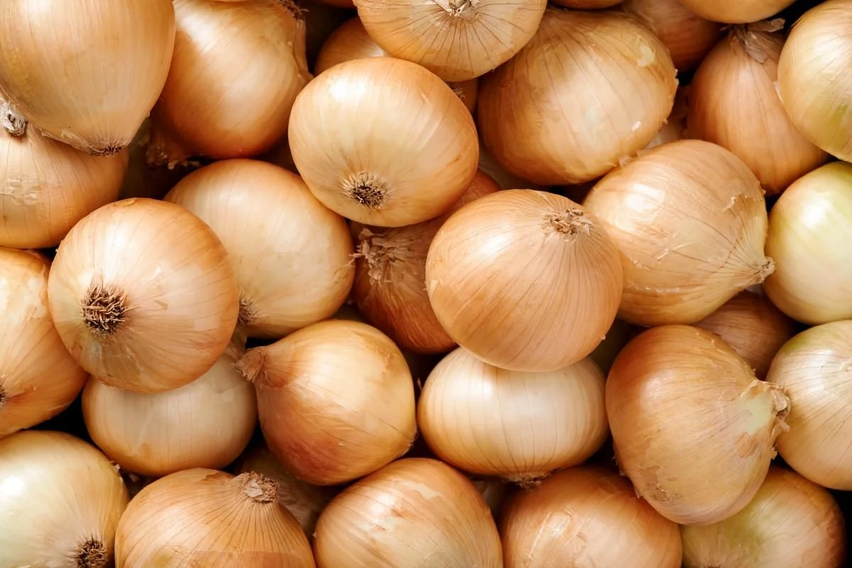 The price of onions is rising rapidly in Ukraine — the price has ...